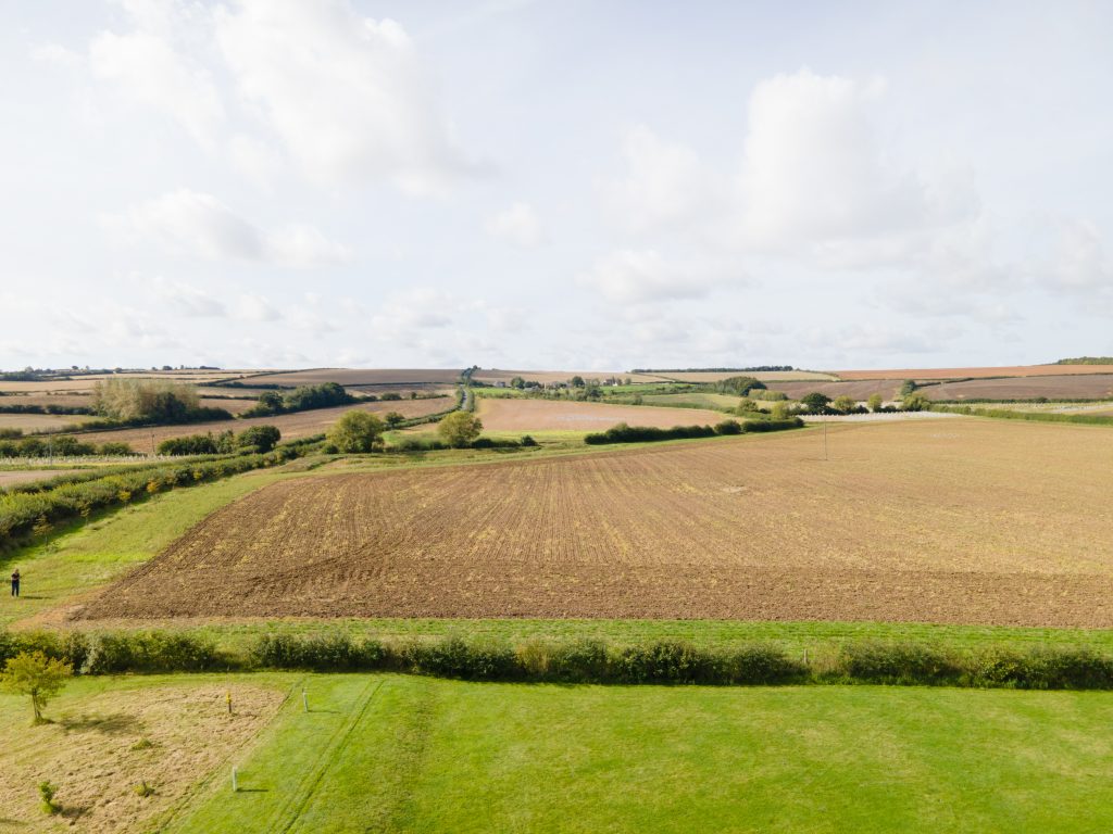 Fifield House | AVENUE