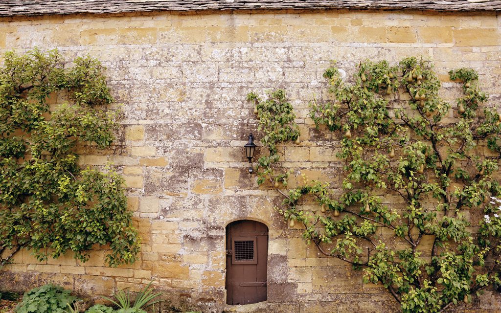 Temple Guiting Manor | AVENUE