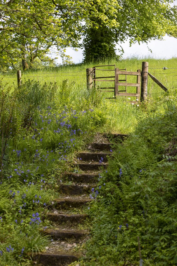 Stirling House | AVENUE