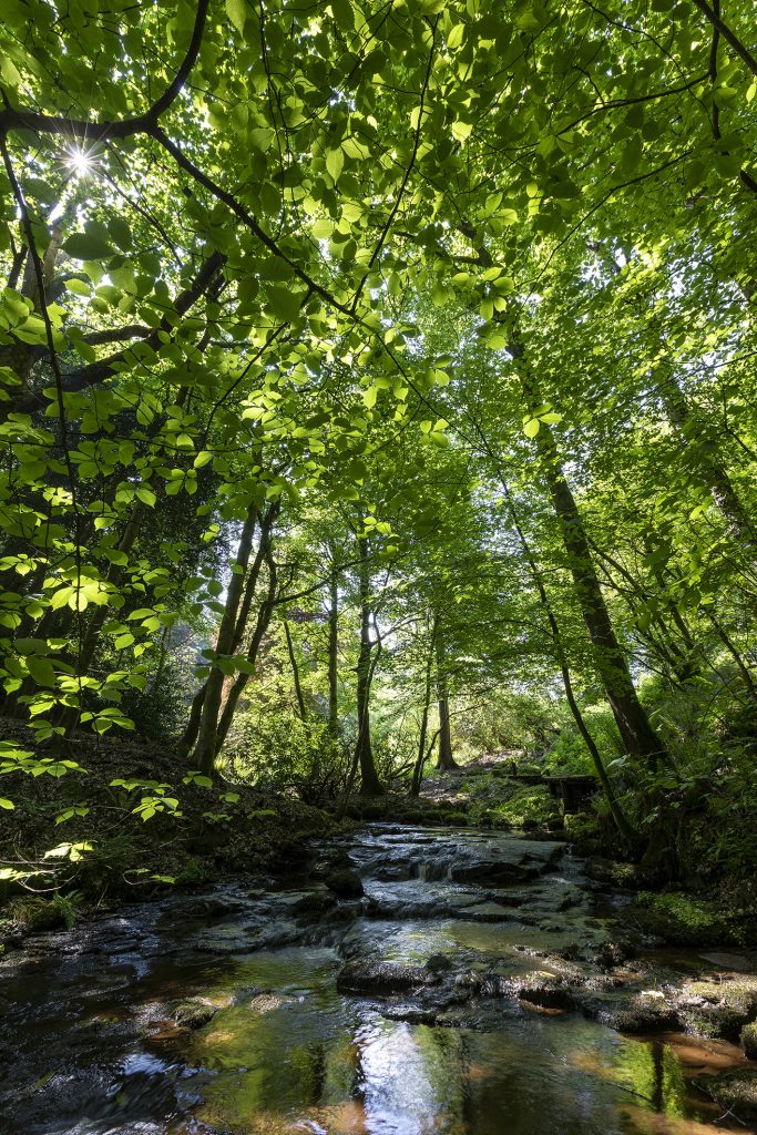 Stirling House | AVENUE